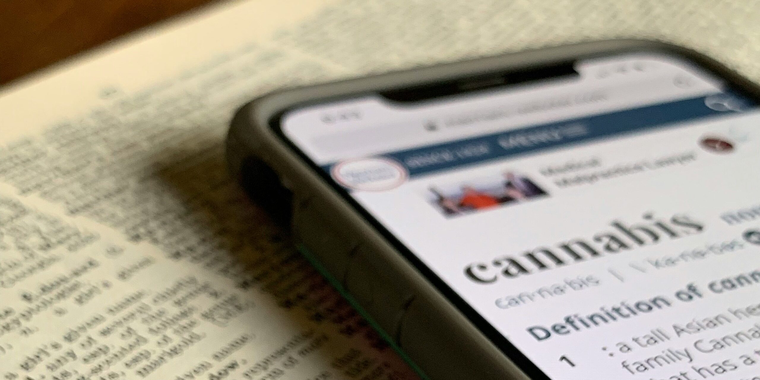 Cannabis-ABC: Strains, Sorten, Blüten - Wissenswertes & Tipps